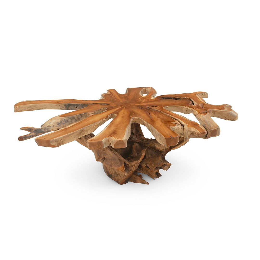 Rustic Root Coffee Table